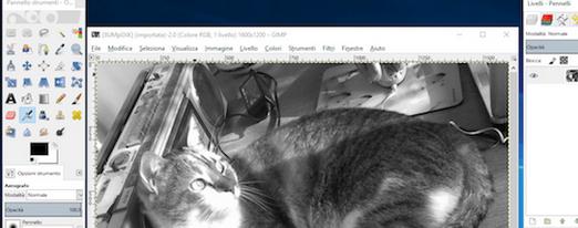 Programe de desenat pe calculator Windows sau Mac | OmulBun.com