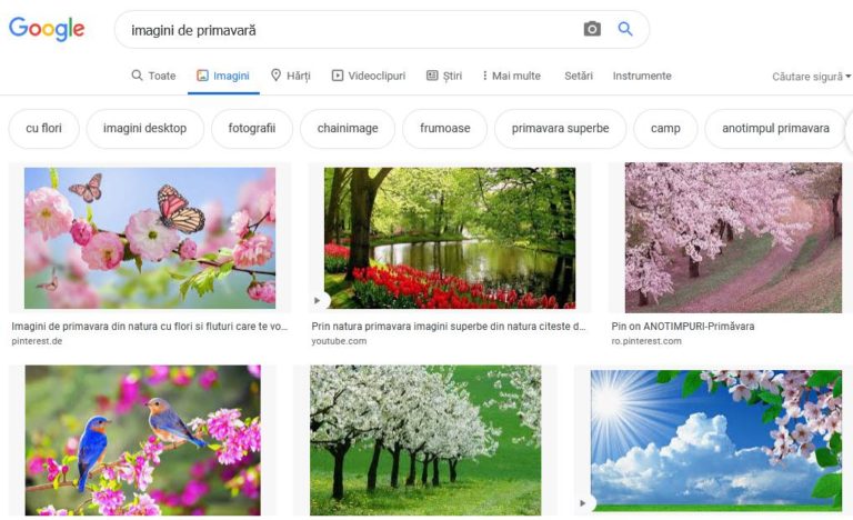 Caută o imagine pe Google sau alte site-uri - OmulBun.com